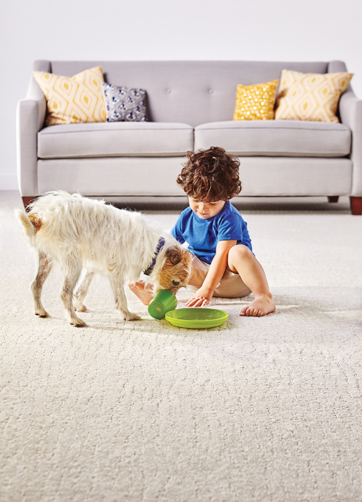 How To Remove Common Carpet Stains In Buffalo MN Neils Floor Covering